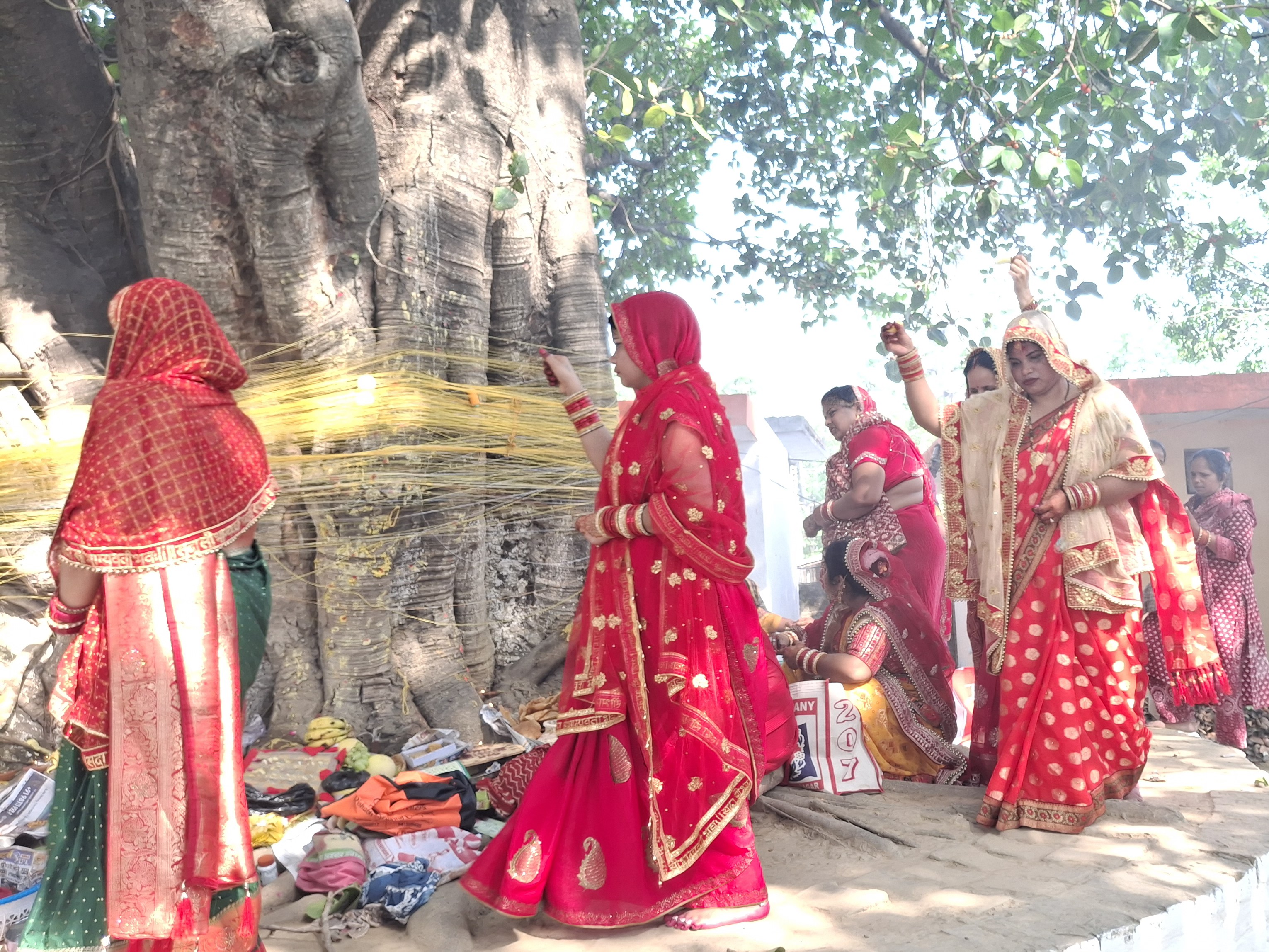 Fatehpur Vat Savithri Puja | Mahadev Talab Mandir Celebrates