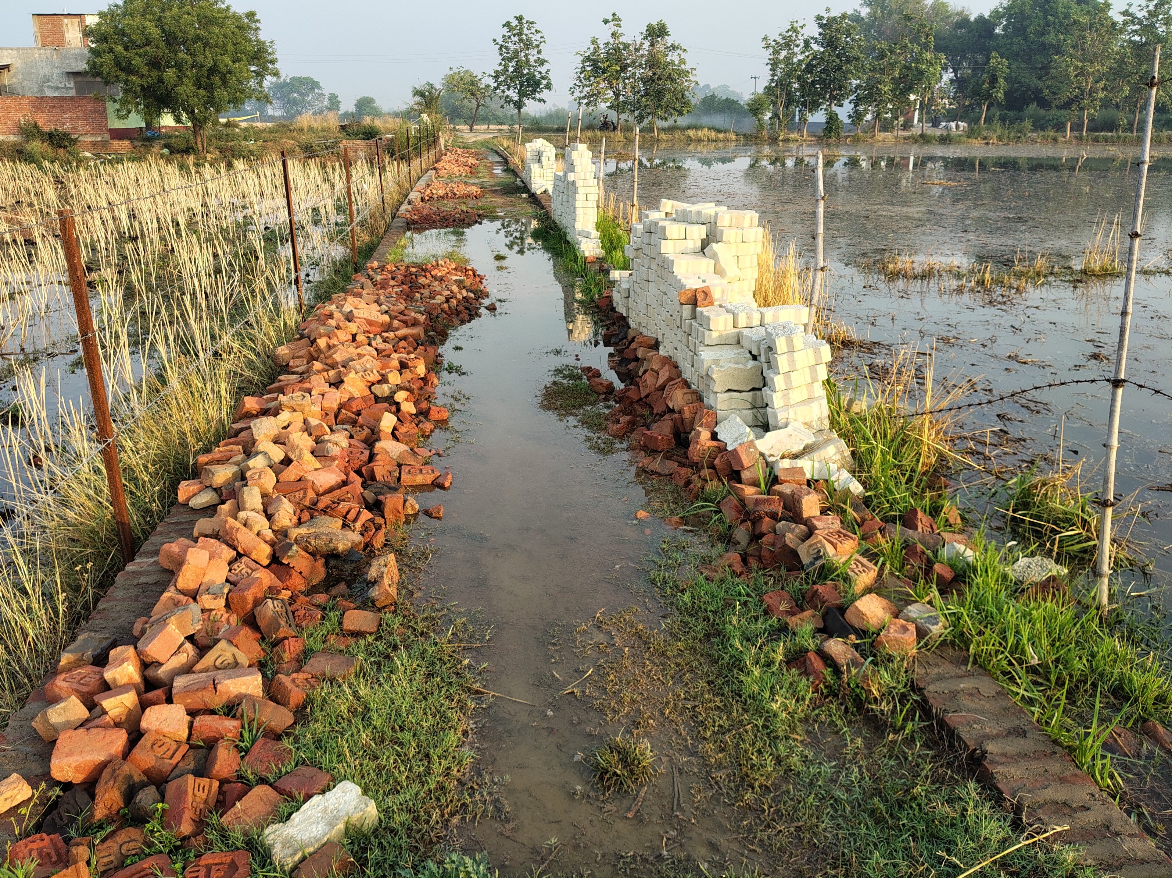 Dalpatpur Canal Breach | Mandir Marg Flooded, Crops Damaged