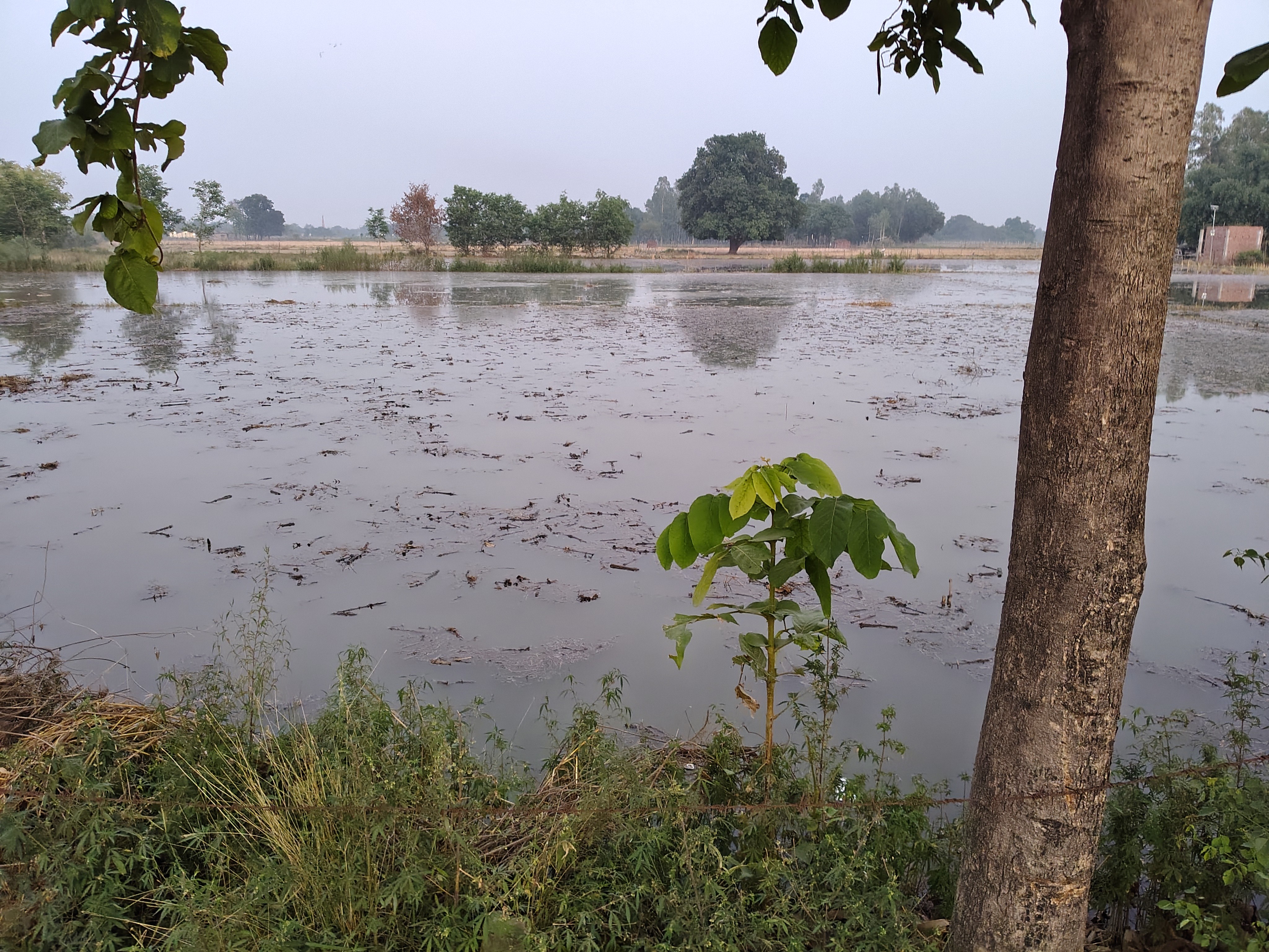Dalpatpur Canal Breach | Mandir Marg Flooded, Crops Damaged