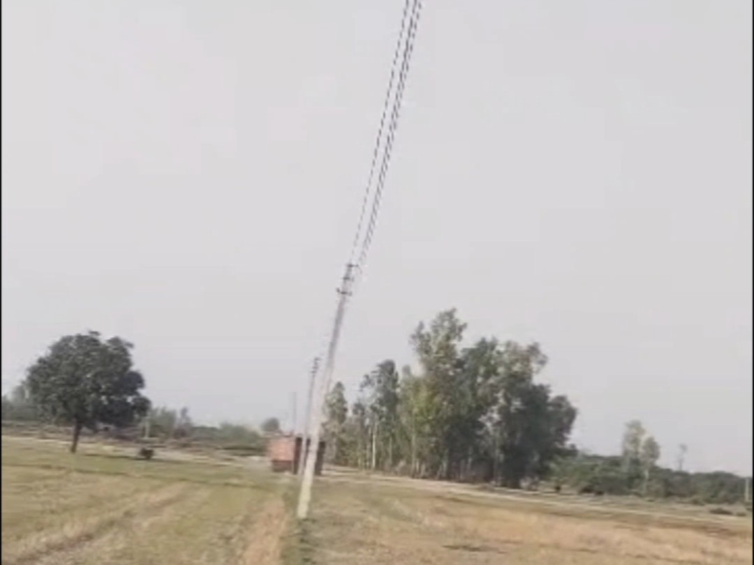 Malihaabad Farmer Files Police Complaint | Seven Pole Electric Line Theft