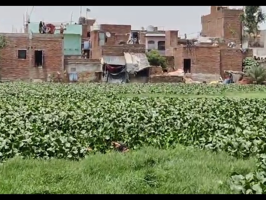 Aligarh Man Jumps Into Pond After High Drama; Police Rescue