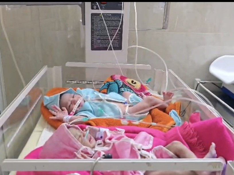 Betul Premature Babies Saved Via Kangaroo Care | New Life