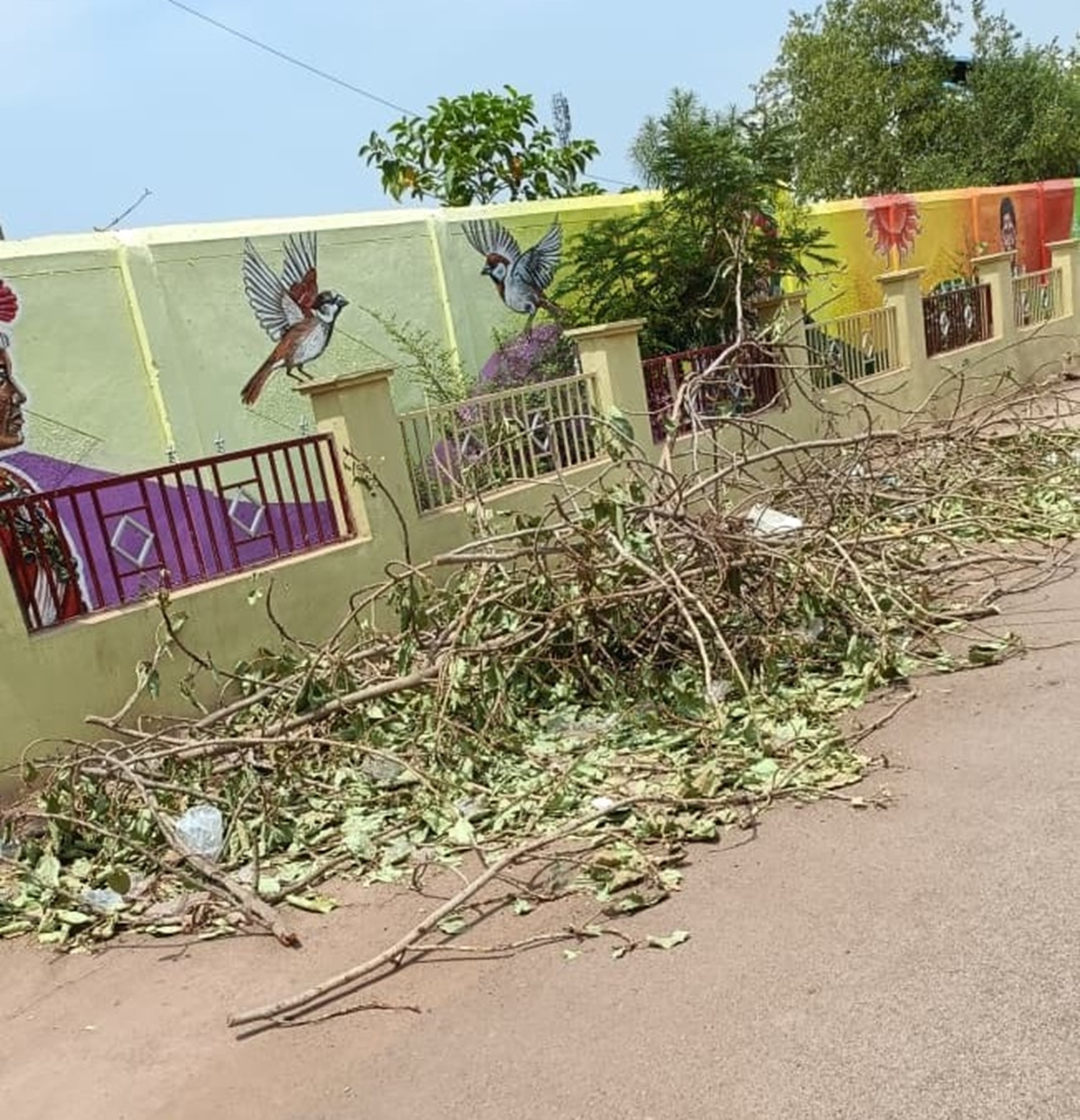 Dry tree branches were lying behind the PG College.