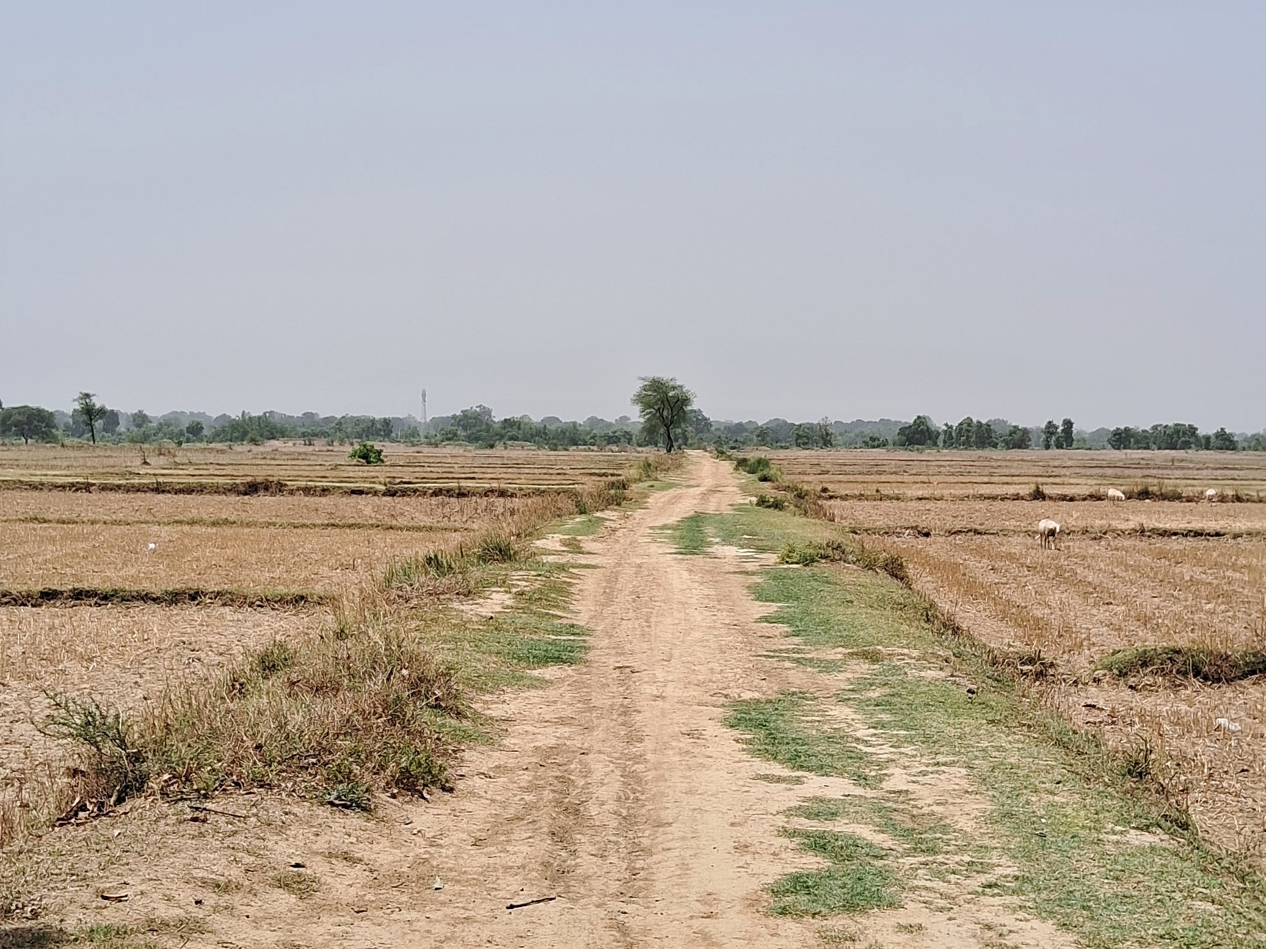 Hata Nyaya Panchayat Road Worst Condition | Villagers Suffer, Leaders ...