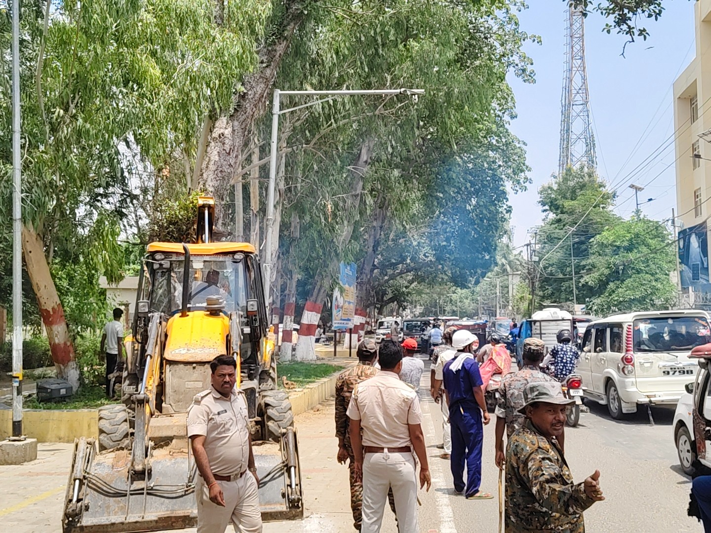 Bhagalpur Tree Cutting | Danger Old Trees Action After Bhaskar News