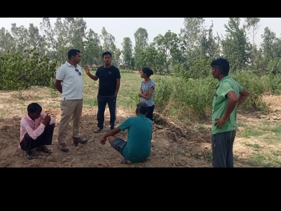 Sarai Jwalapuri Neem Tree Cutting Incident | Van Vibhag Action