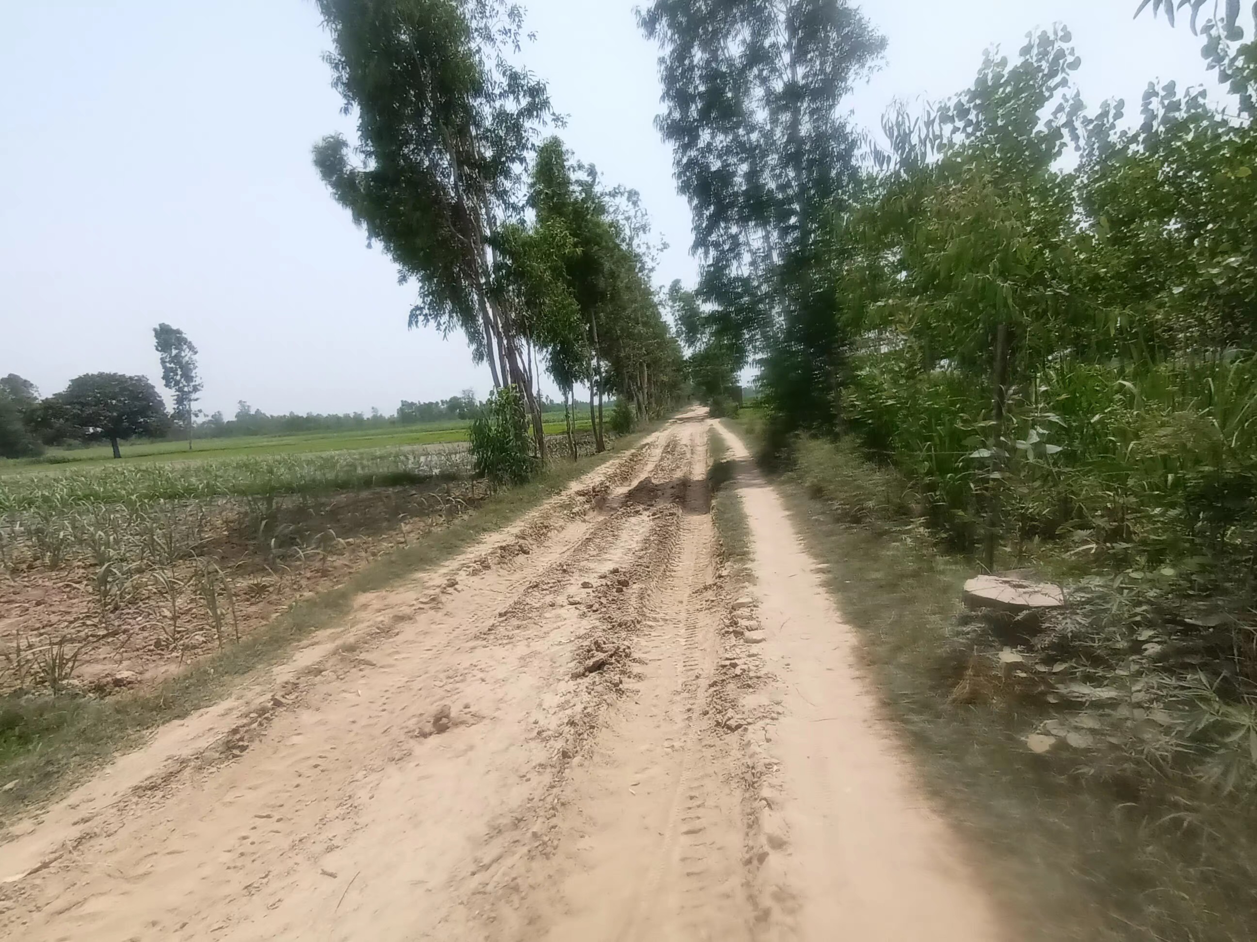 Nahataur Kachcha Rasta: Incomplete Promises, Decades of Neglect