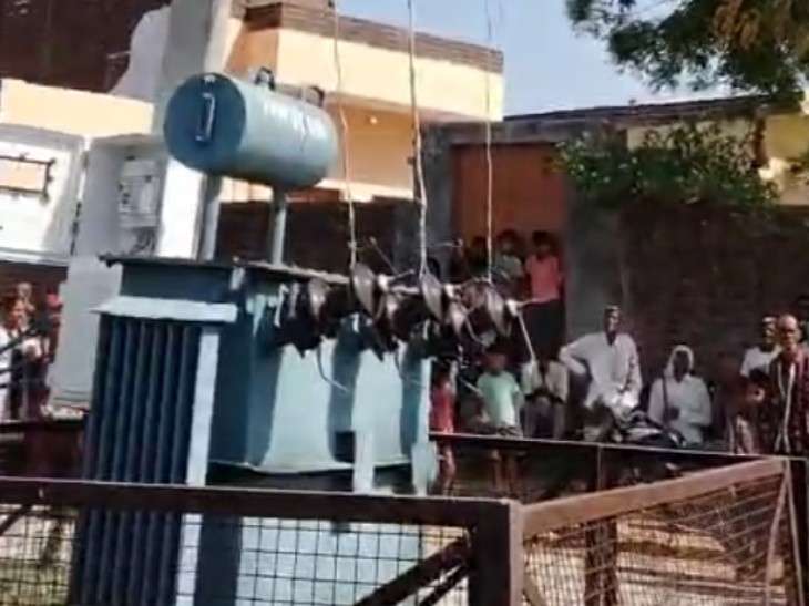 Badaun Transformer Current Kills 2 Buffaloes | Villagers Outraged