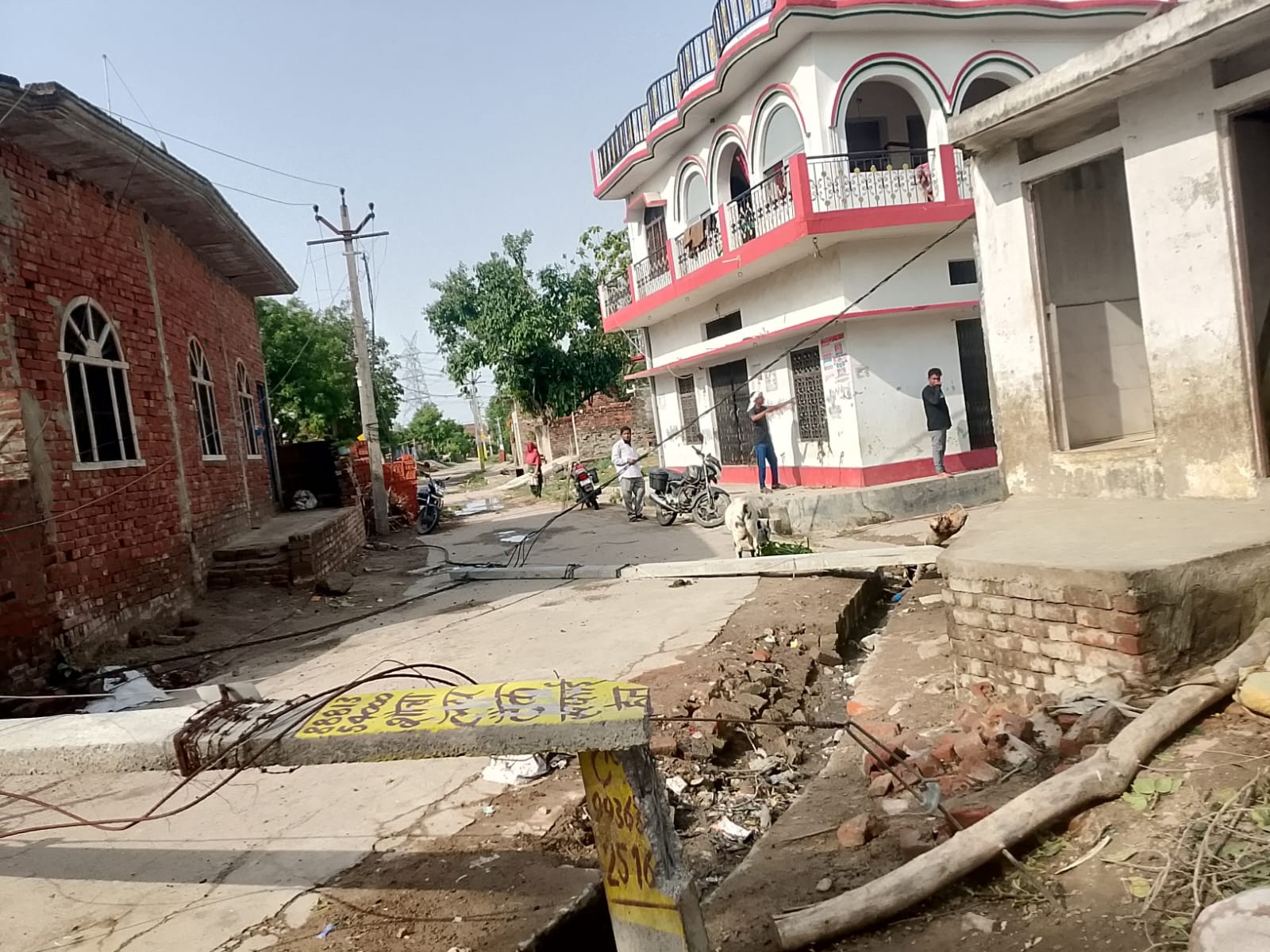 Parsurampur Ridhaura Storm: Trees Fall, Tin Sheds Blown Away, Poles Toppled