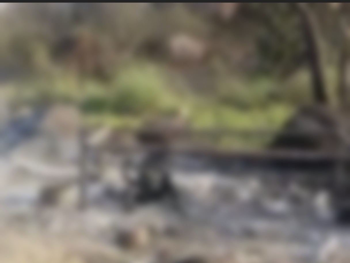 Datia Hut Fire Accident Kills Toddler | Parents Out