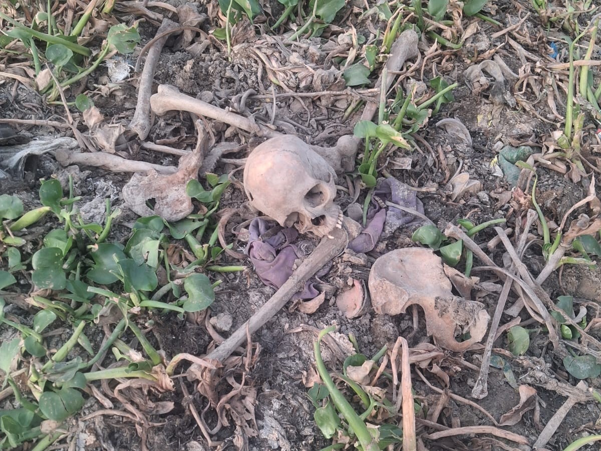 Bilhaur Human Skeleton Found in Pond; Police Send for Postmortem