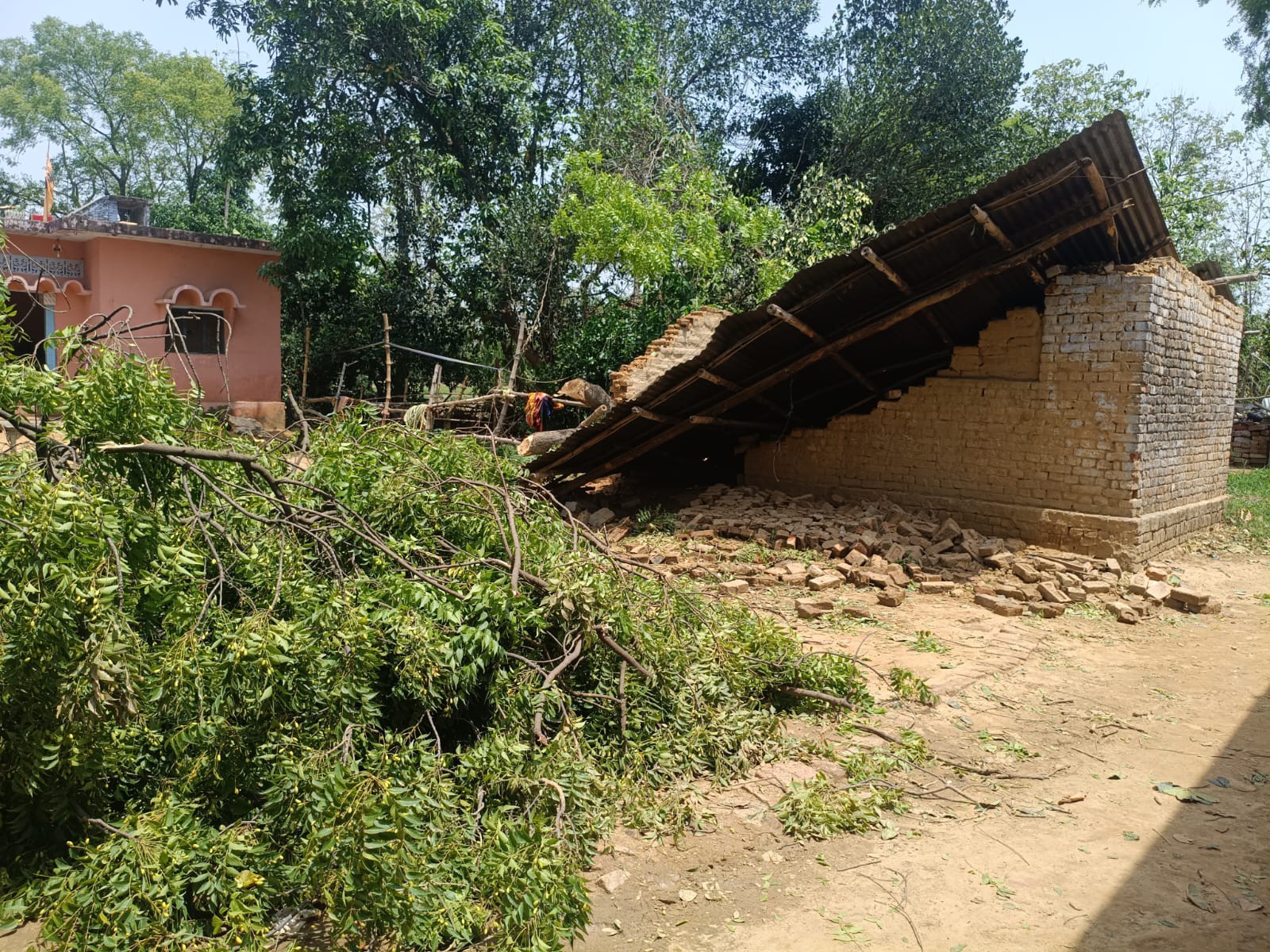 Basti Tin Shed Death | Neem Tree Fall Kills 50-Year-Old Man
