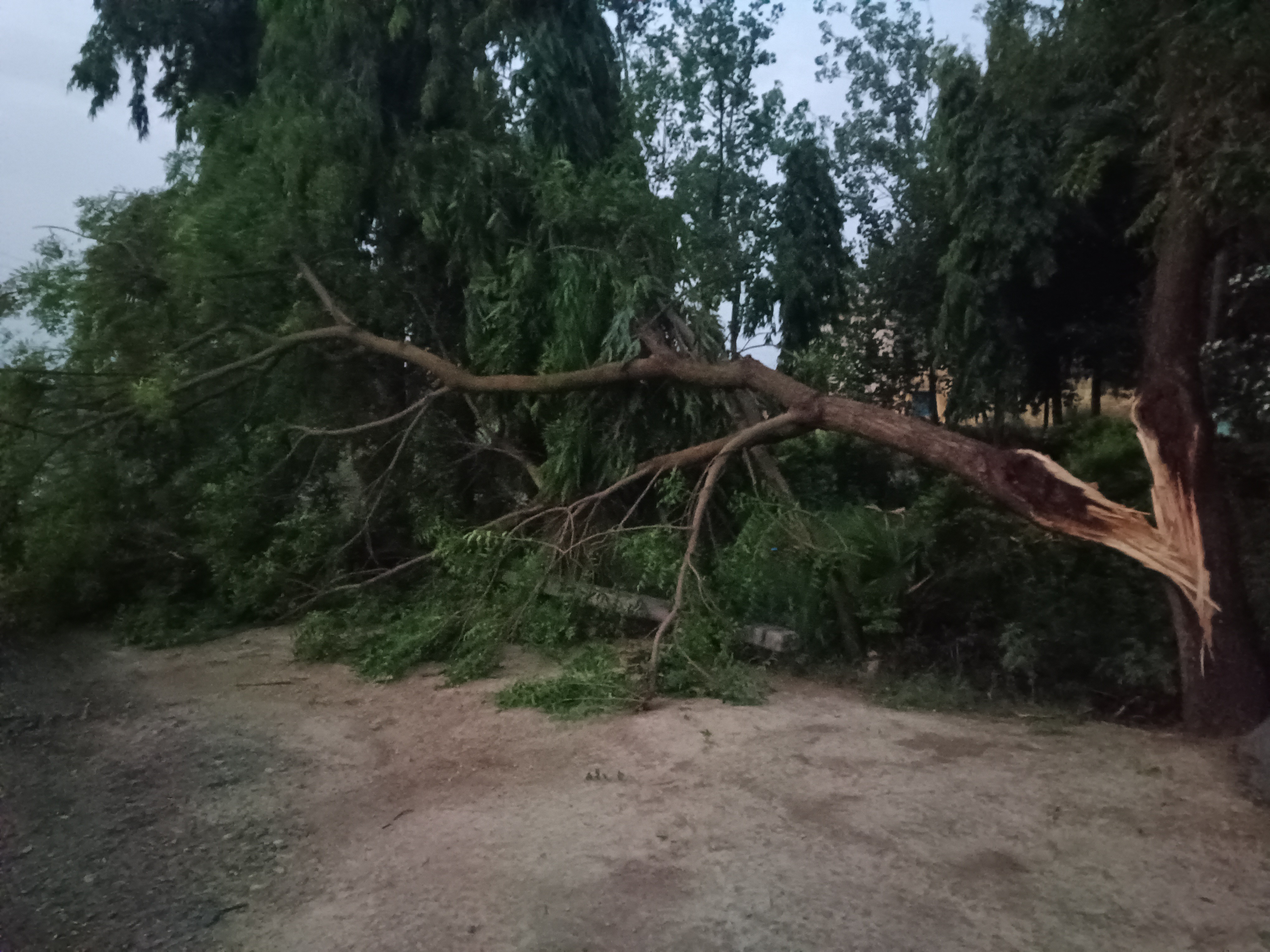 Shahjahanpur Storm Damage | Trees Uprooted, Power Outage, Walls & Sheds ...