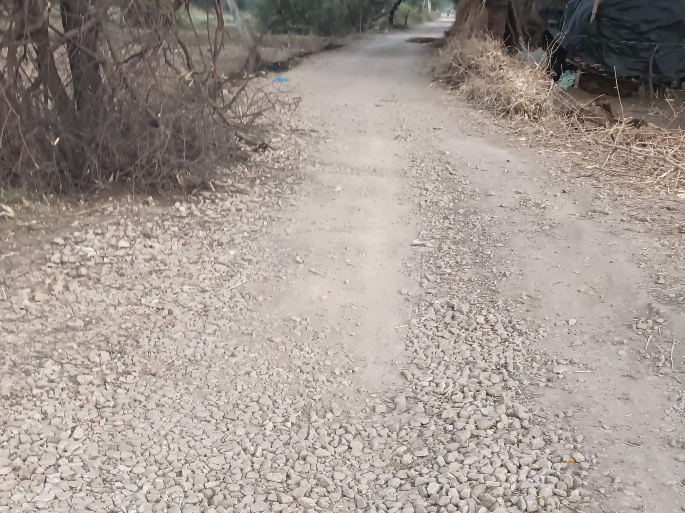 Sagardhaba-Akbarpatti Road Incomplete | Villagers Struggle Commute
