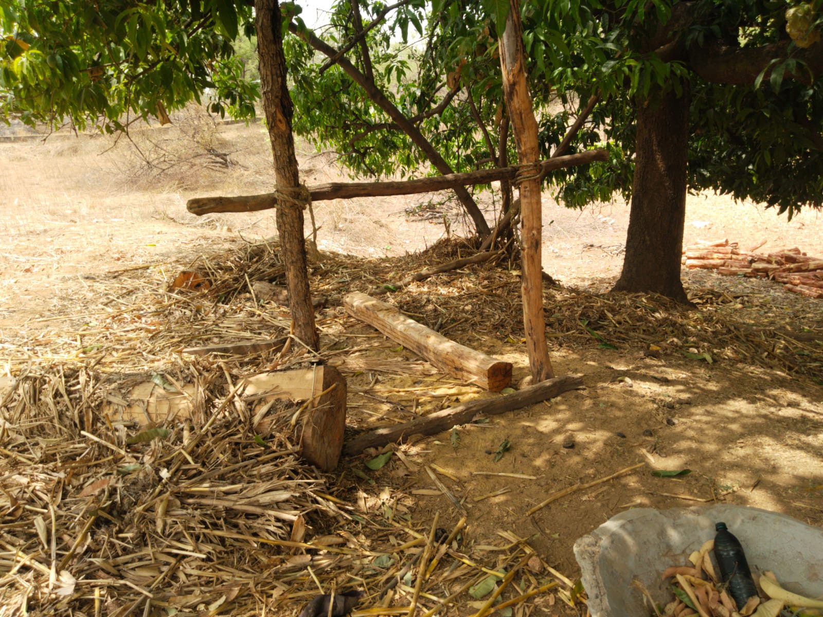 Muirpur Khair Tree Smuggling Case | DFO Probe Homeguard Farm