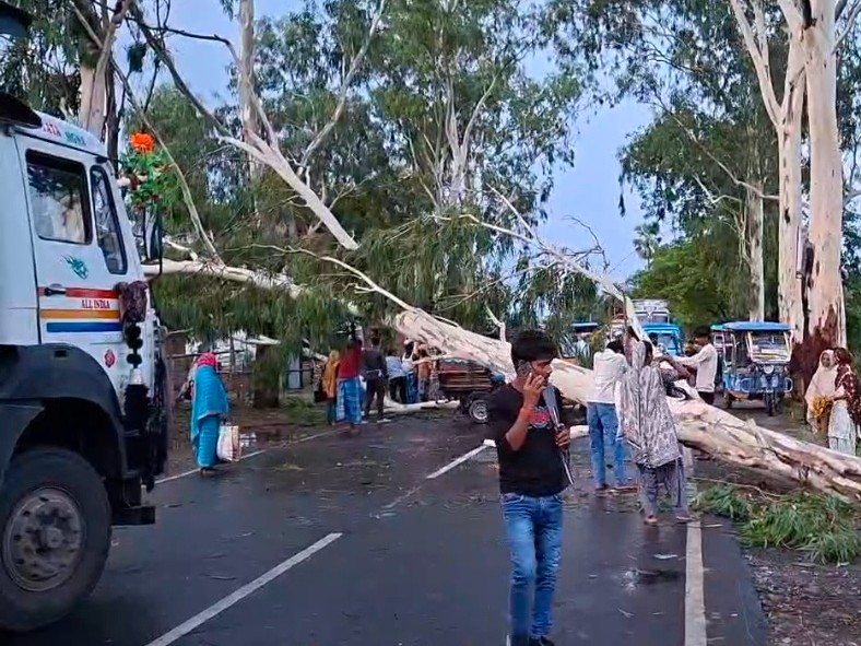 Bhagalpur Traffic Disrupted by Falling Tree Due to Heavy Rain