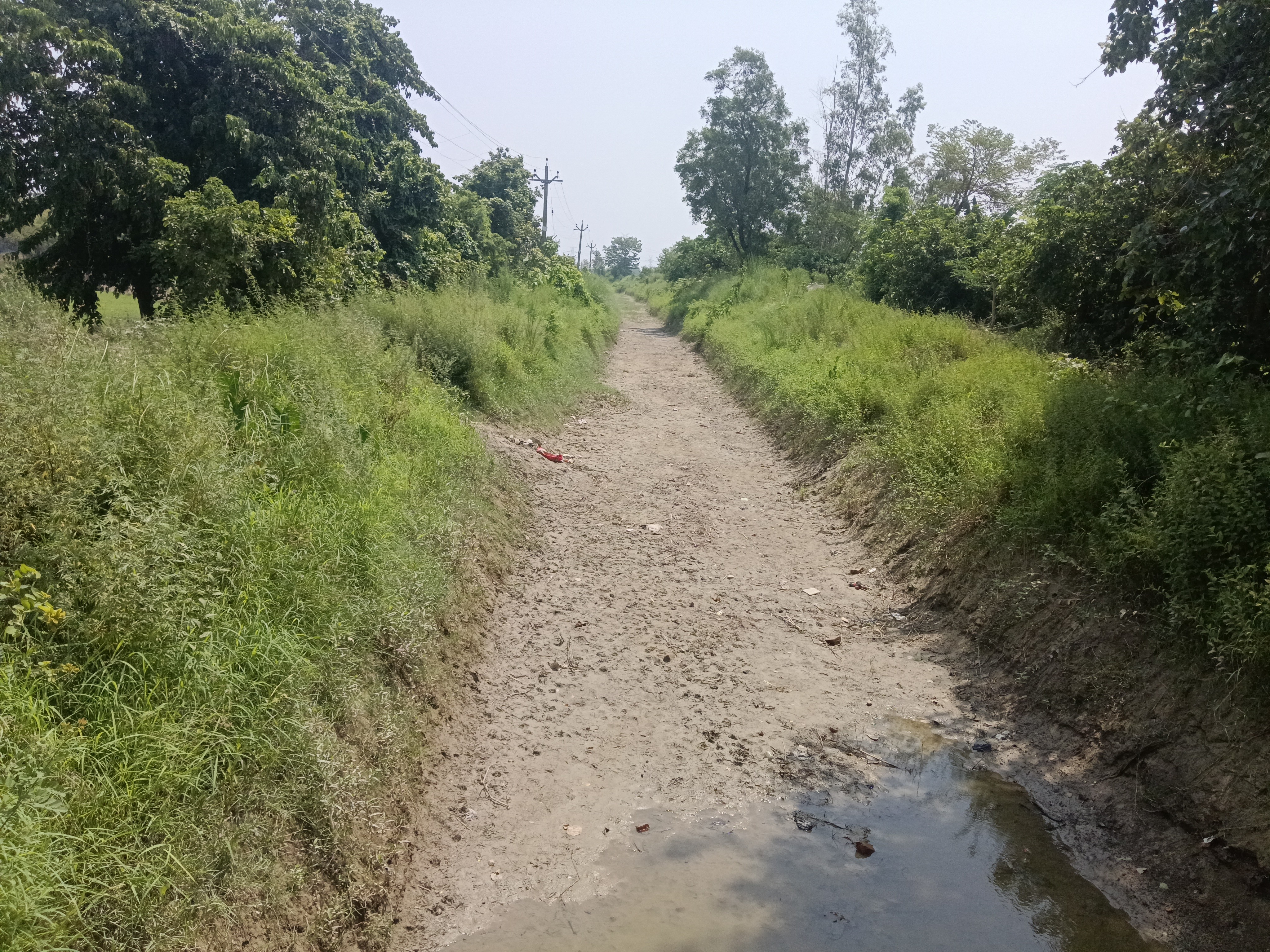 Maya Bazaar Farmers Face Irrigation Crisis; Diesel Costs Soar