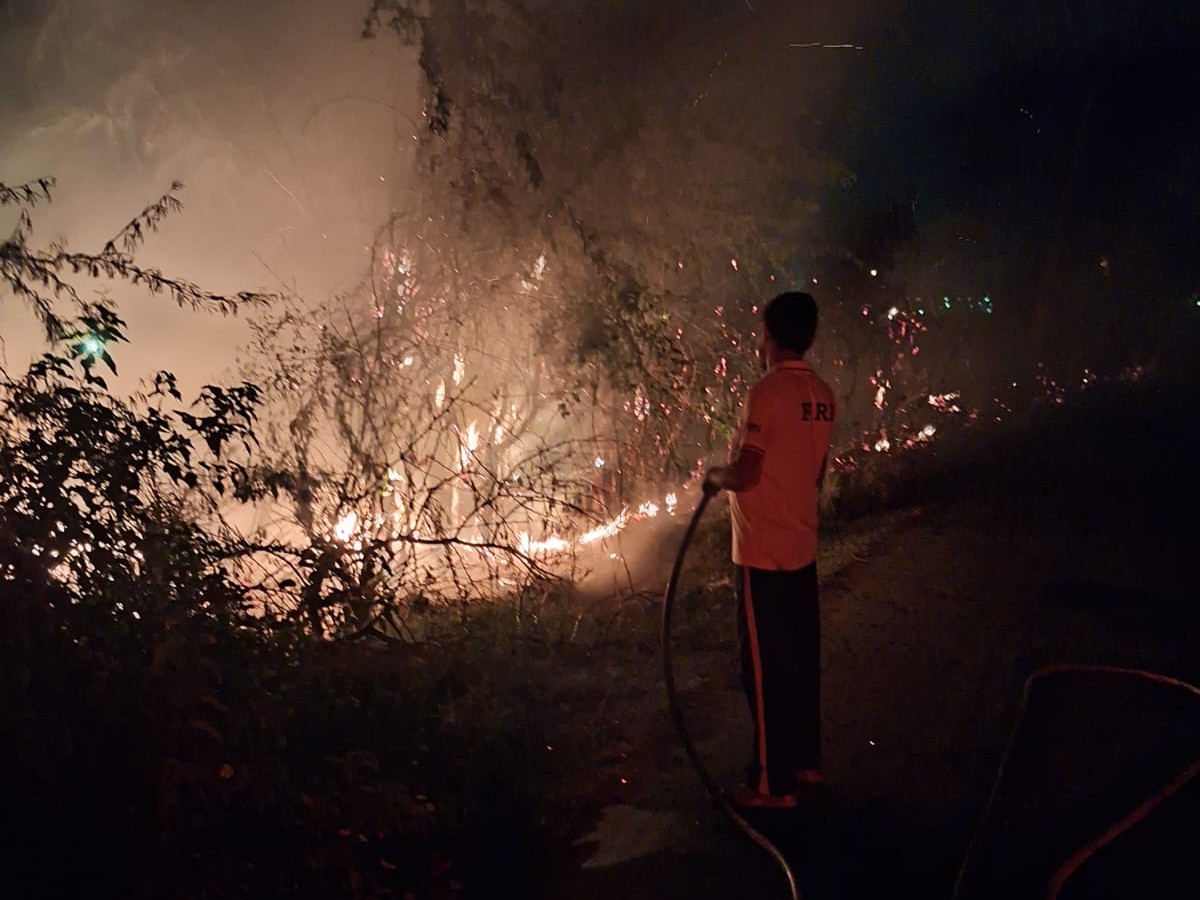 Etawah Fire | High Winds Spread Blaze; Fire Brigade Controls in 1.5 Hours