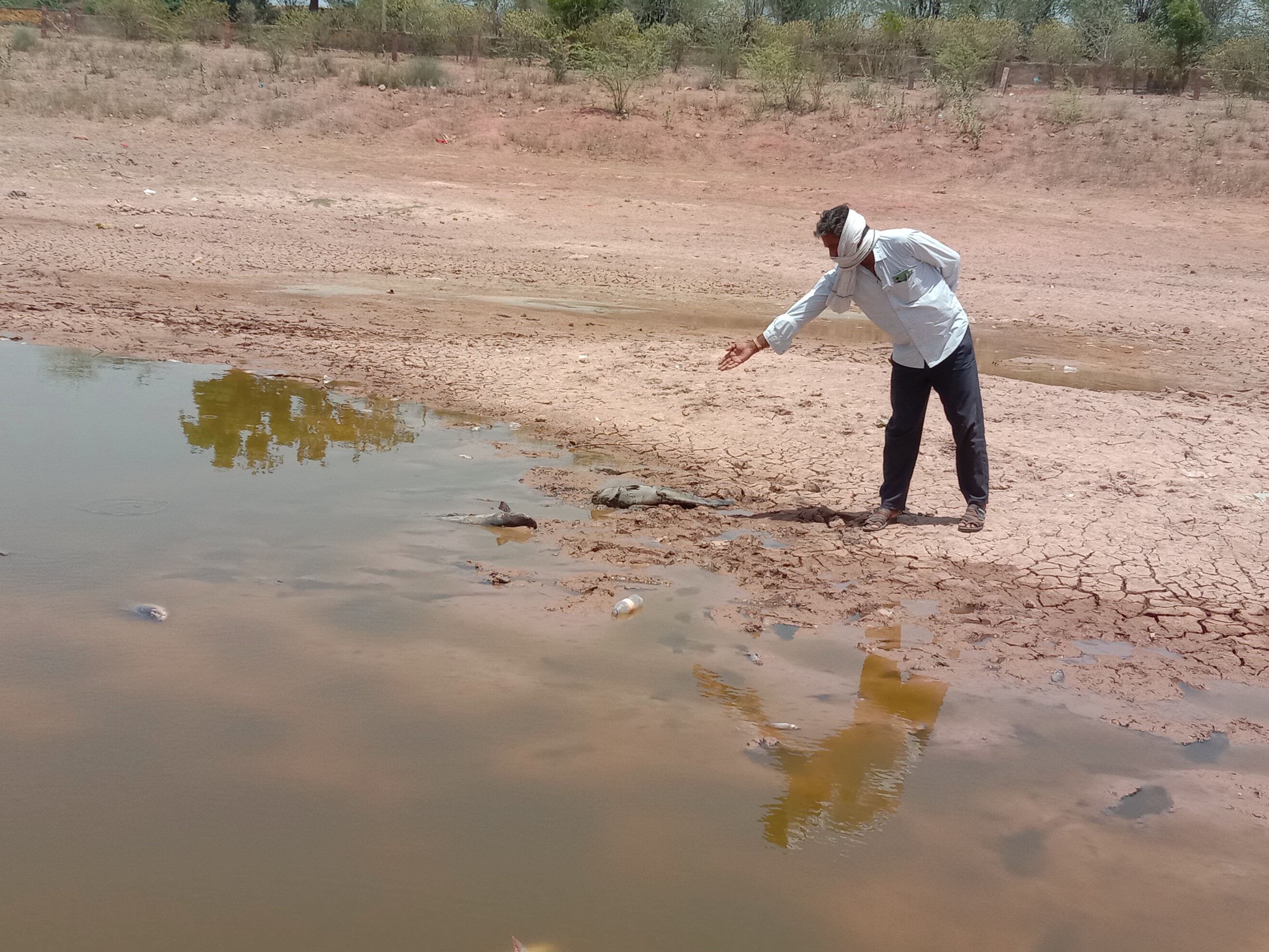 Nimbol Villagers Demand Water Tankers | Pond Fish Deaths Due to Low Water