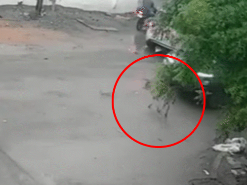 Raipur Saddu School Accident: Boy Crushed by Tanker, Driver Flees