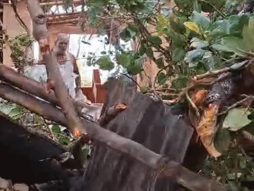 Latest Bhagalpur News (भागलपुर न्यूज़): पढ़ें 27 मई के ताज़ा समाचार ...