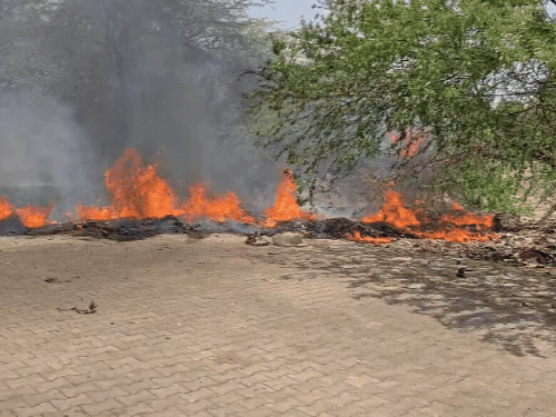 Agra Fort Bushes Fire | Smoke Visible 1 Km Away
