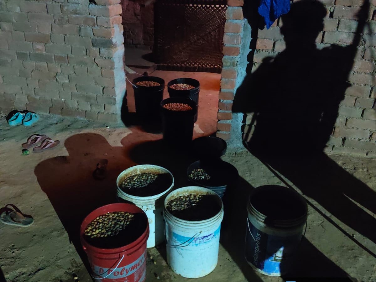 Khaira Police Seize 12L Desi Sharab, 30kg Mahua; Arrest Smuggler