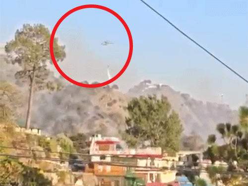 Kasauli Forest Fire Uncontrolled | Army-Air Force Operation | Sukhna ...
