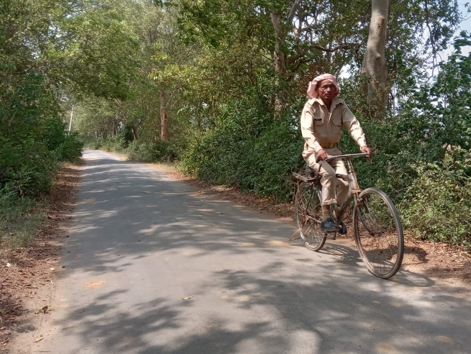 Gahmar-Bara Canal Road Bushes Cause Danger, Accident Risk Rises