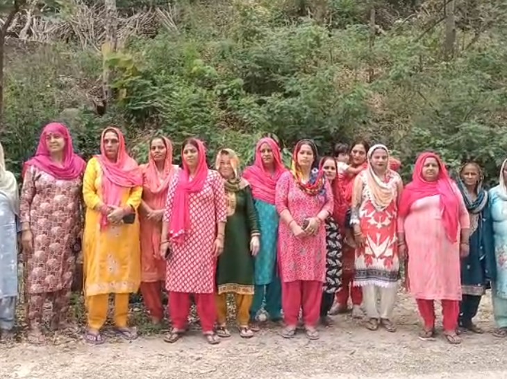Latest Barsar News (बड़सर न्यूज़): पढ़ें 2 जून के ताज़ा समाचार दैनिक ...