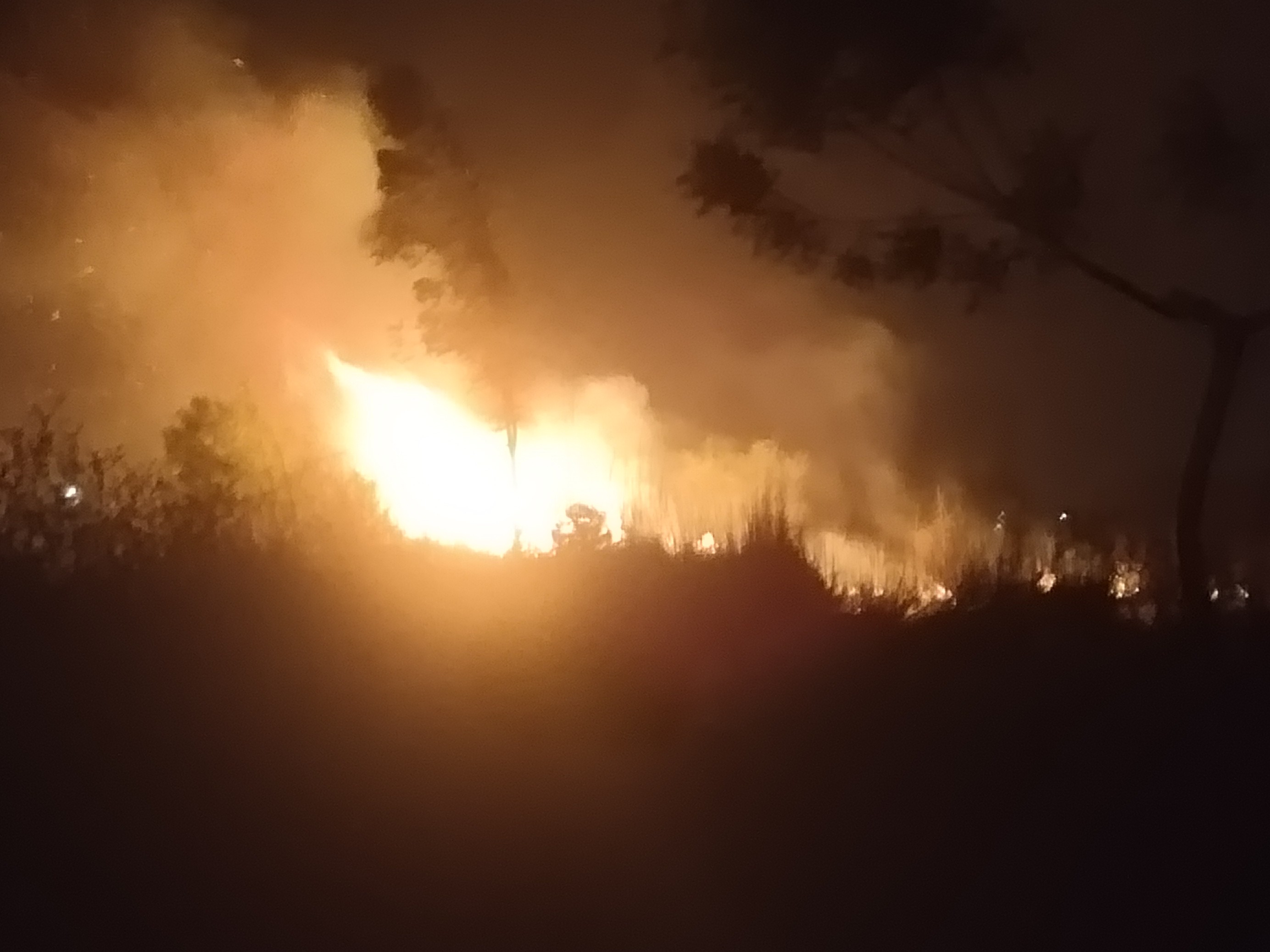 Prayagraj Soranv Fire | Electric Cable Damage, Power Outage