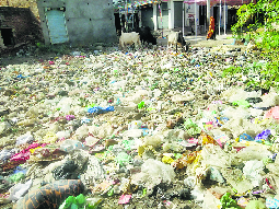 Polythene spread in the garbage heap, animals are falling prey to diseases