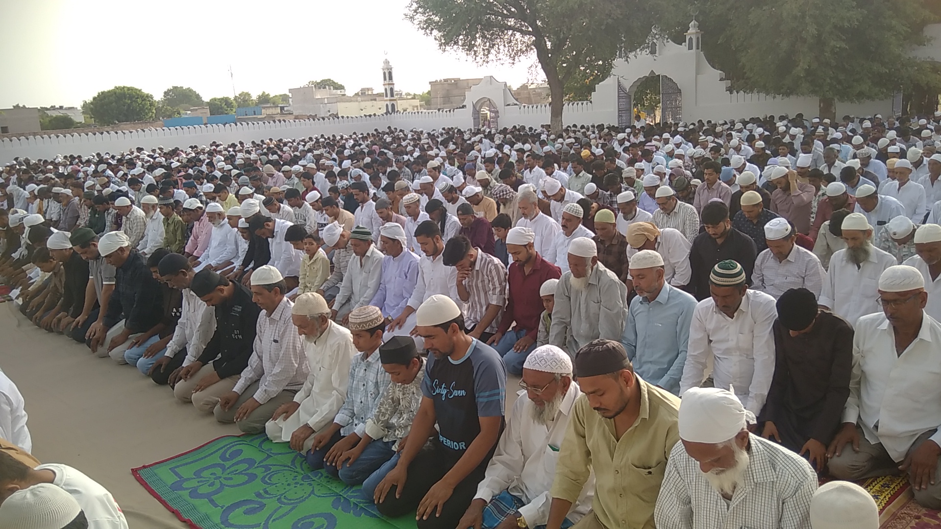 Eid-ul-Adha festival celebrated with devotion and enthusiasm
