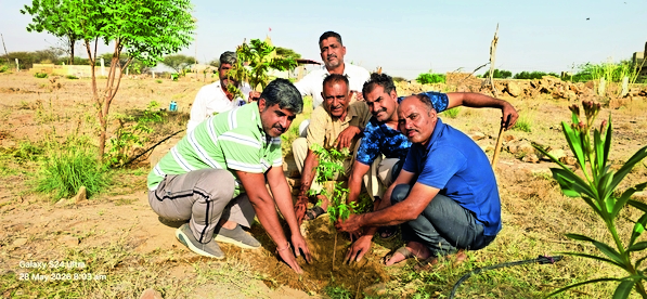 Plants were planted in the Tanot Rai temple complex and a pledge was ...