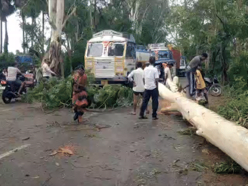 Bhagalpur Car Damaged in Storm | Service Center Loss