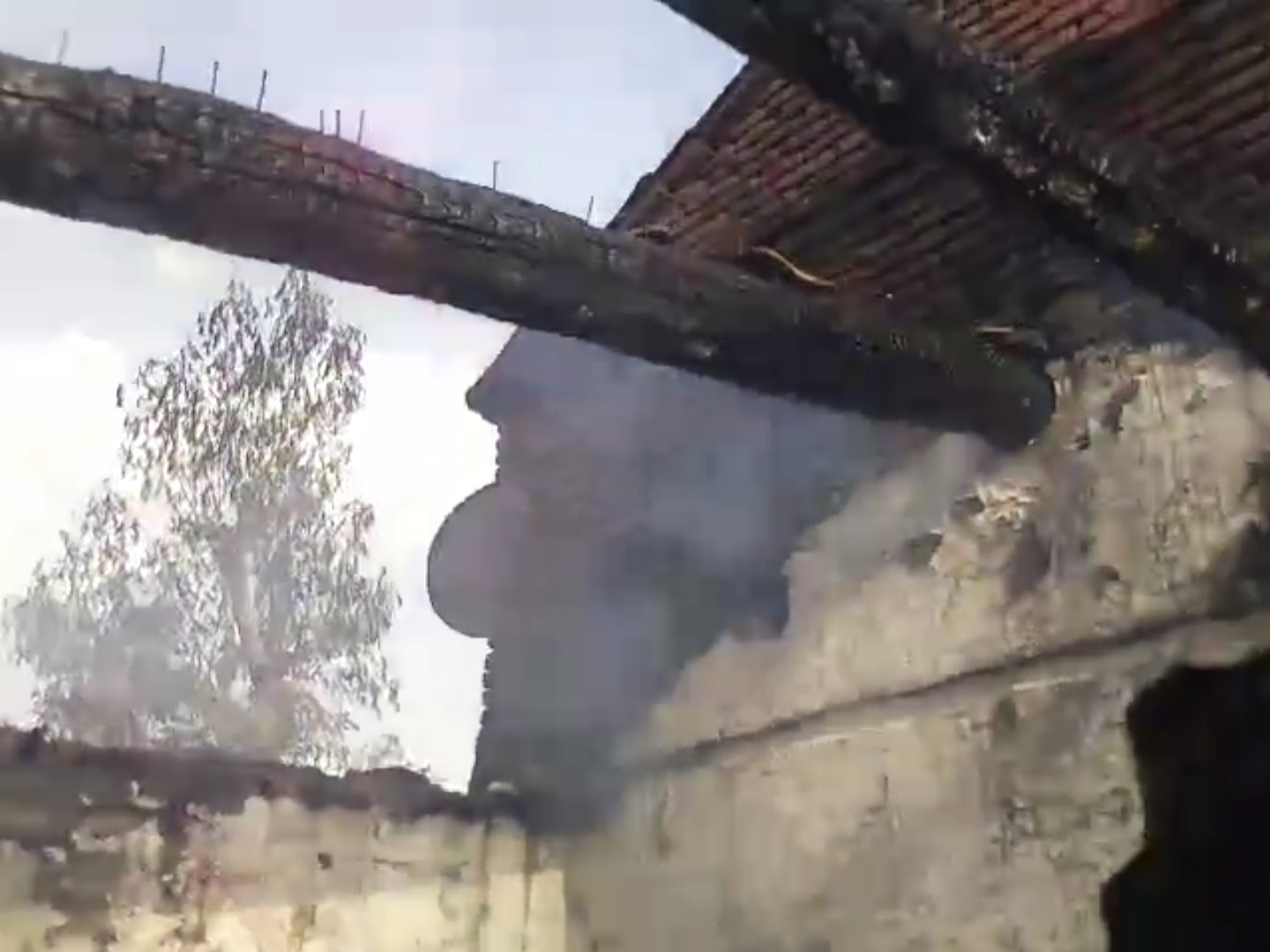 Chhatarpur Fire: 8 Lakh Loss, 12 Quintal Grain Burnt | Gas Leak Tragedy