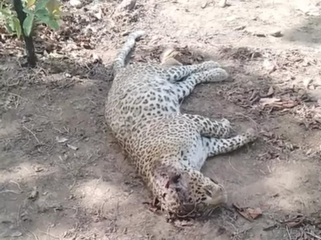 Latest Sagar News (सागर न्यूज़): पढ़ें 28 मई के ताज़ा समाचार दैनिक ...
