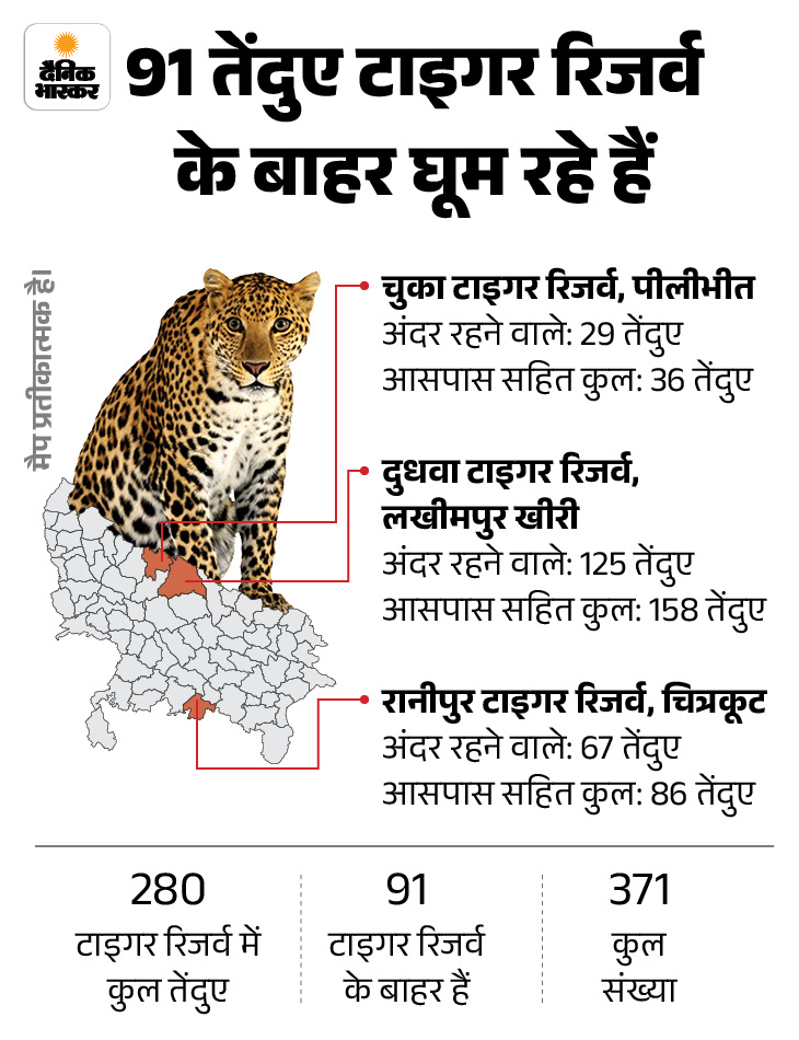 UP NEW Leopard Safari; Bijnor Pilibhit Balrampur Wildlife Project ...