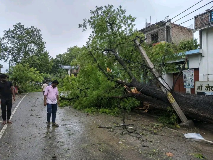 Rampur Village 80Kmph Winds | Jaspura Storm Damages Poles