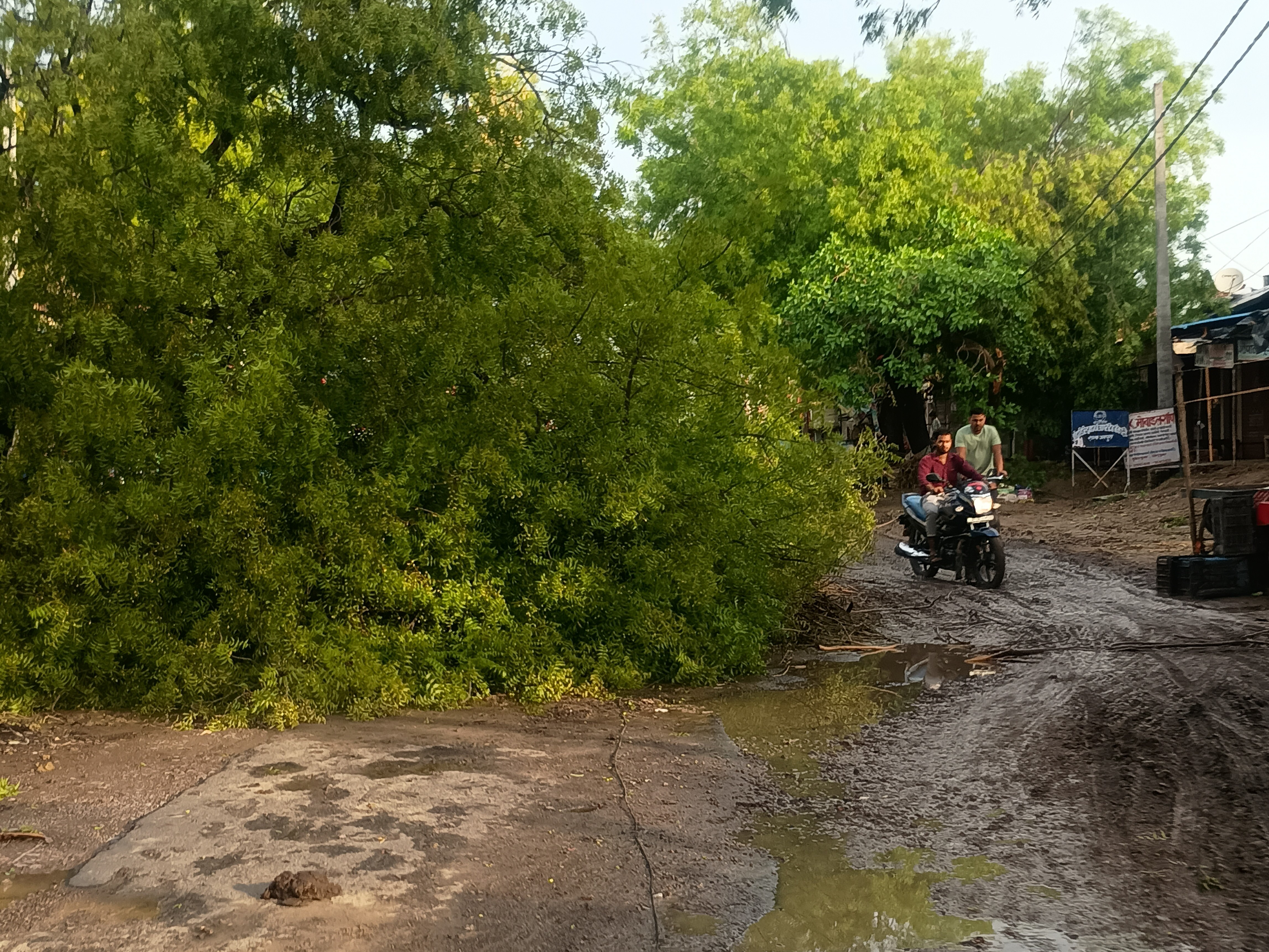 Banda Trees & Poles Fall Amidst Storm; Life Disrupted