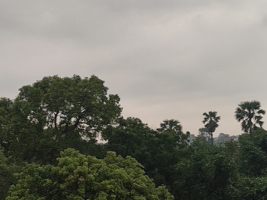 Gopalganj Weather Update: Thandi Hawa, Temperature Drops | Barish Ke Asar