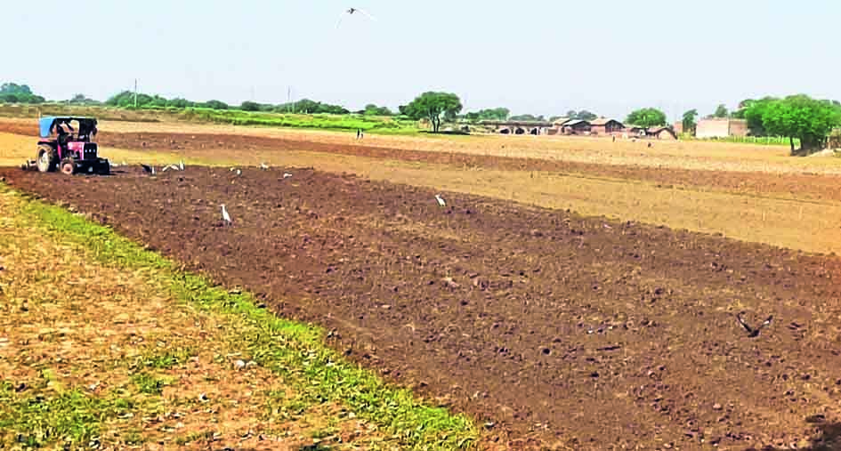 Timely rains bring relief to Diara farmers