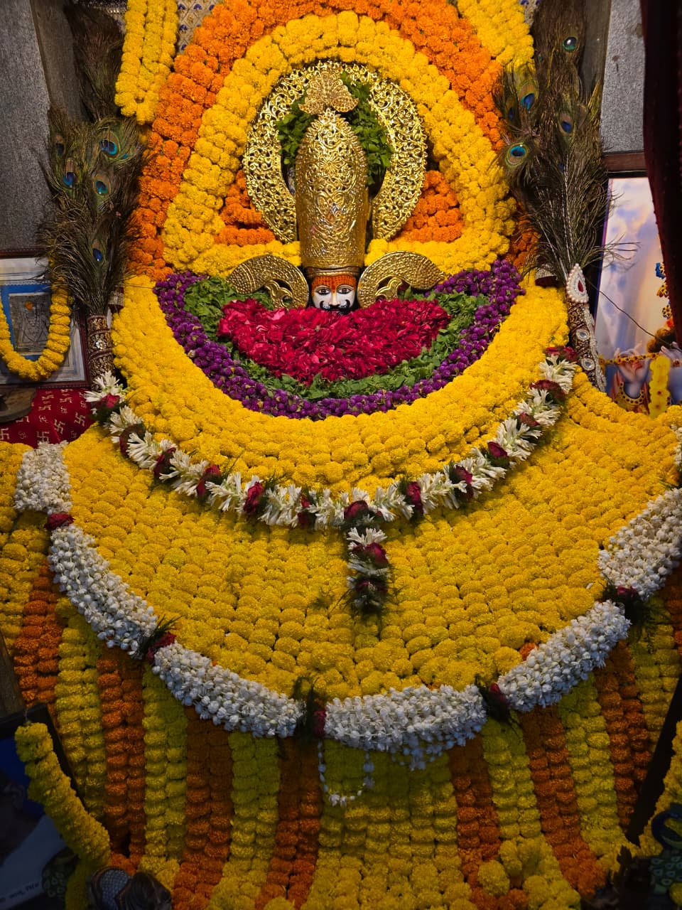 Special worship was performed with the flame of Barsa, devotees danced ...