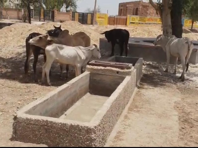Sindhlas Wildlife Water Crisis | Ward Panch Seeks Admin Solution