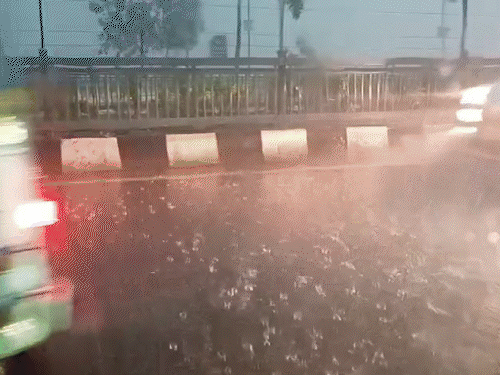 Patna Red Alert: Heavy Rain, Daylight Darkness | Weather Update