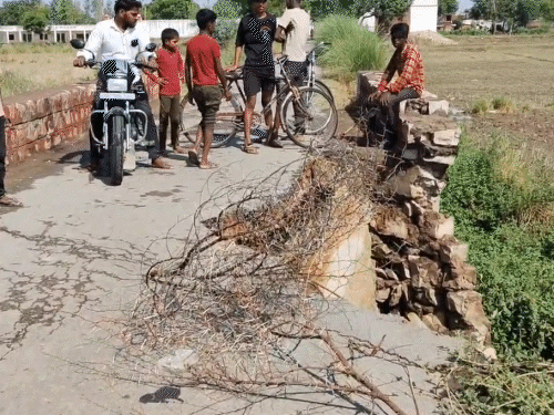 Prayagraj Storm Fury: 50-60 Kmph Winds & Heavy Rain