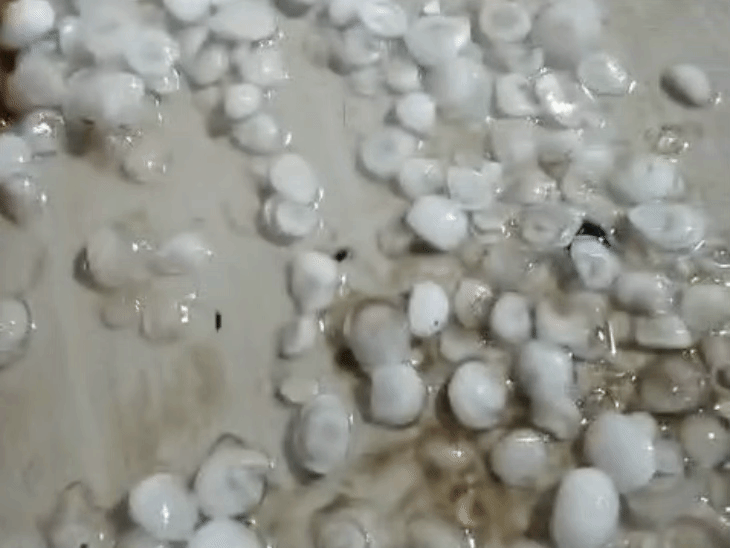 Churu Rain Alert After 46.5°C Temp | Dust Storm & Hail