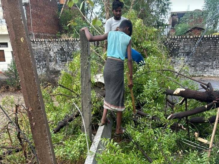 Prayagraj Storm Fury: 50-60 Kmph Winds & Heavy Rain