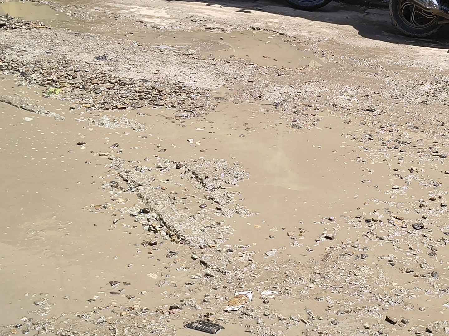 Bhadoura Bus Stand Waterlogging | Tehsil Road Drainage Woes