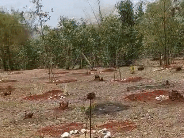 Dindori Ranks 2nd in India for Water Structures | Rural Water Conservation